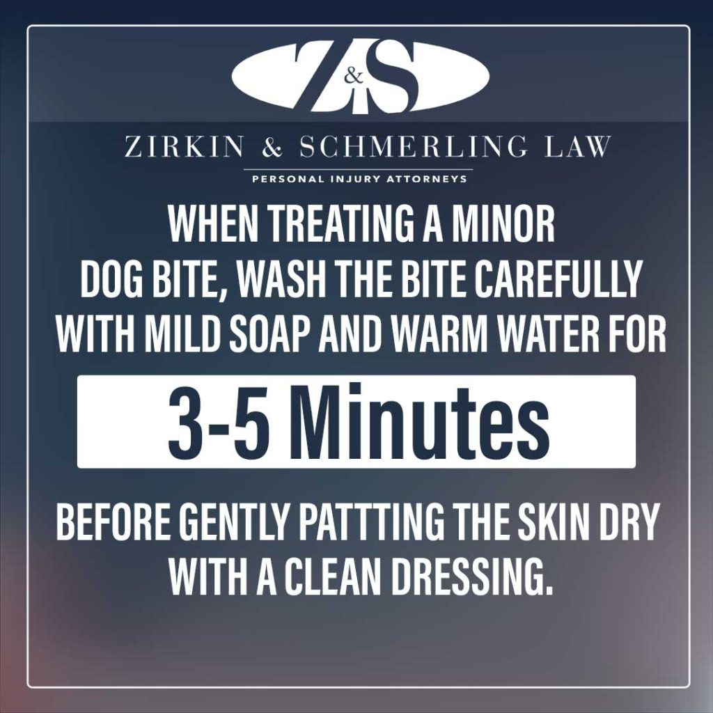 What to Do if Bitten by a Dog