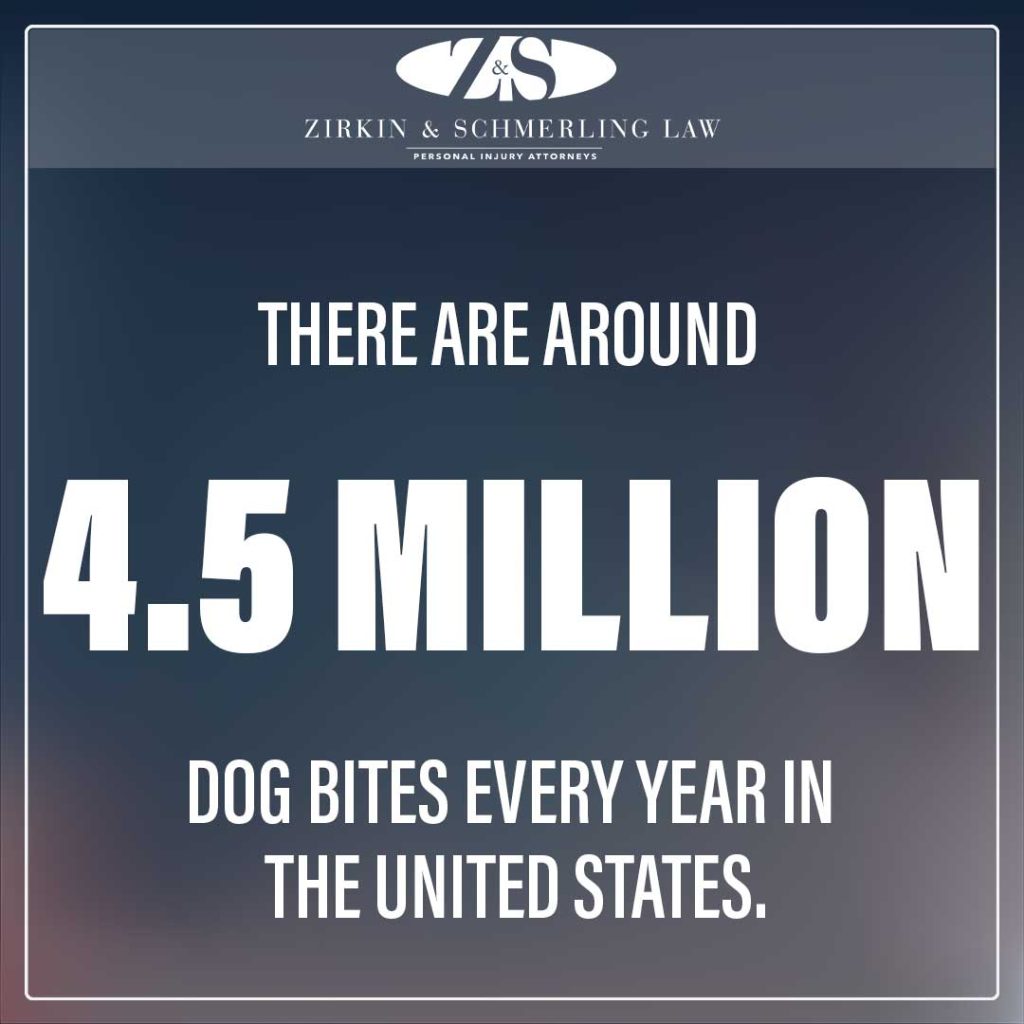 What If a Dog Bites Me at Work?